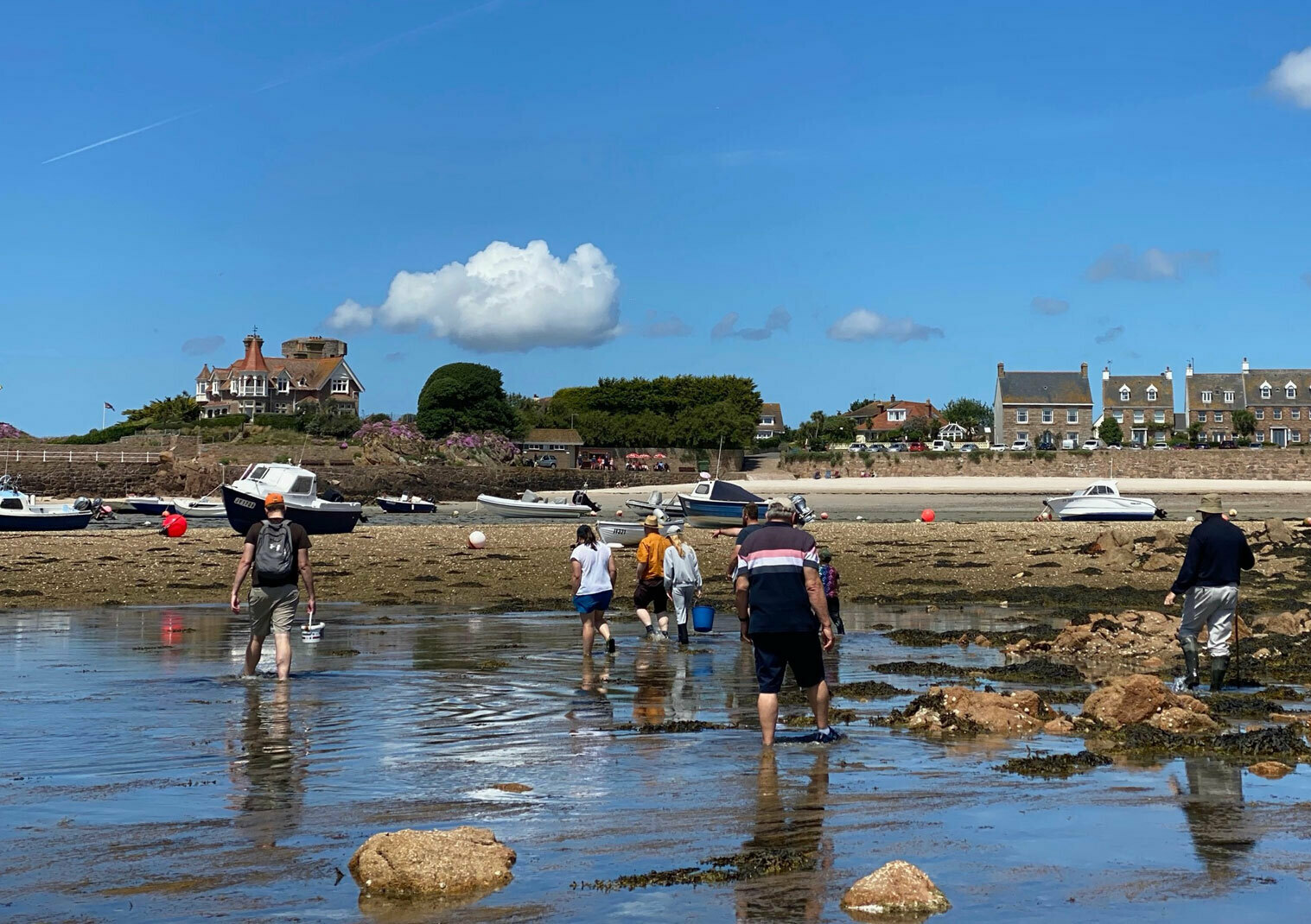 Rock Pooling - A World of Wonder - Jersey Events