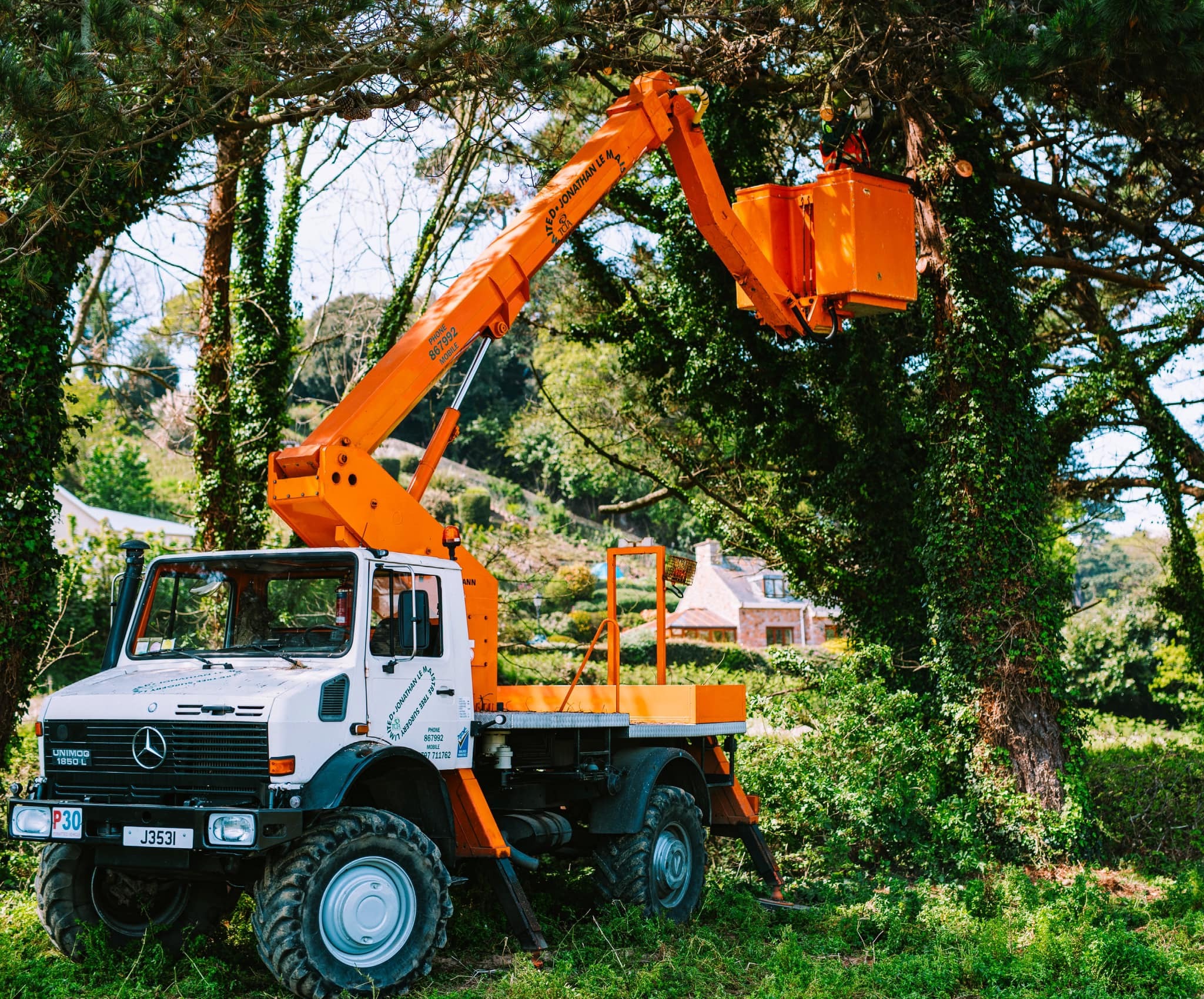 Jonathan Le Maistre Tree Surgery Ltd - Jersey Tree Fellers