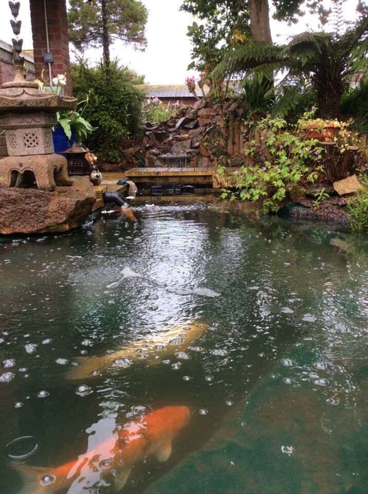 Practical Ponds - Jersey ponds